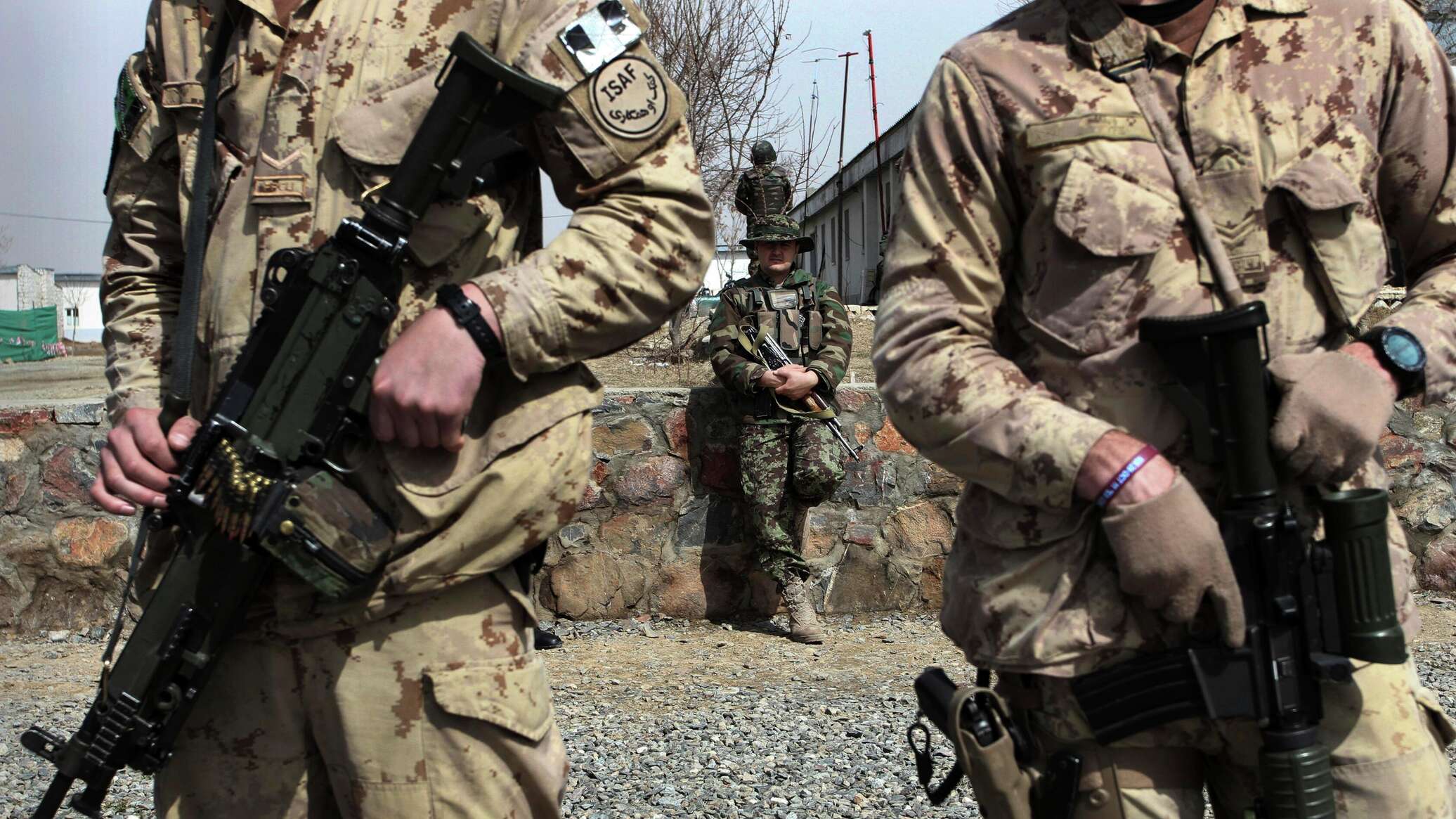 Presa: Canada a trimis forțe speciale în Ucraina