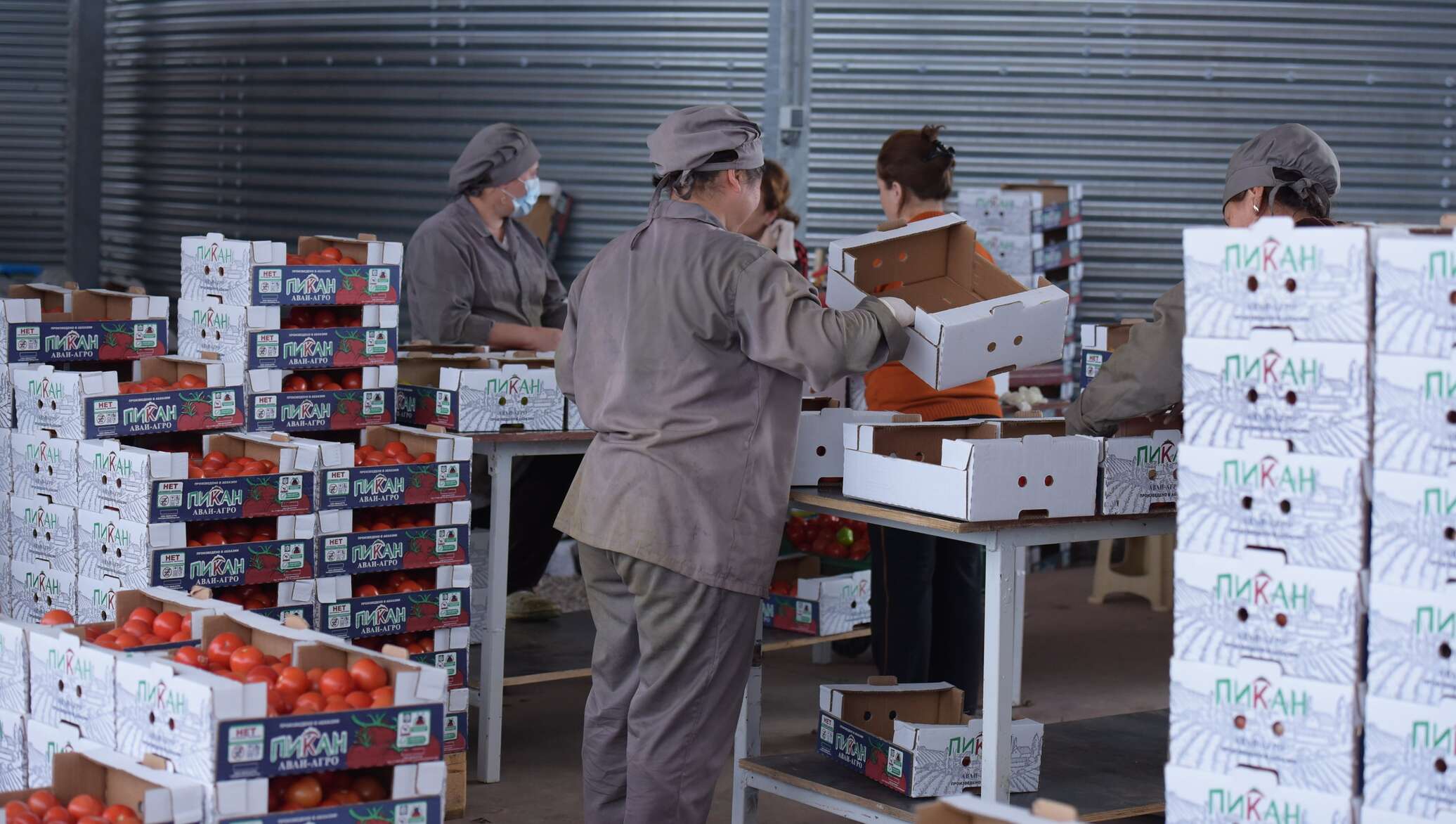 Rusia elimină ultima barieră din perioada războiul comercial cu Turcia ...