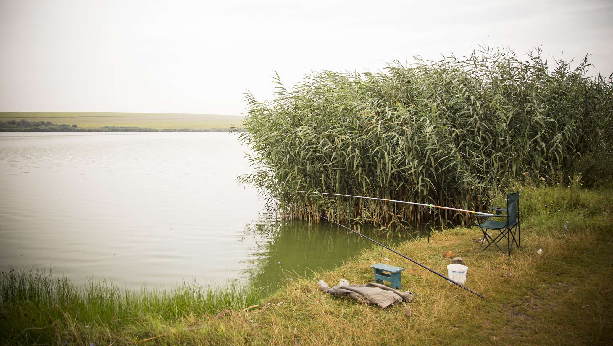 Braconieri fără scrupule